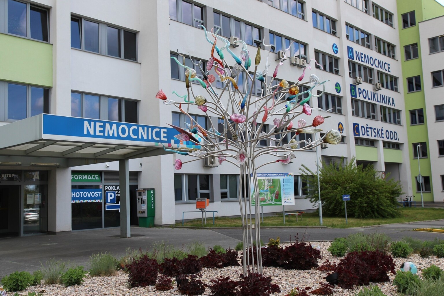 Českolipskou nemocnici má zachránit fúze s libereckou. Kraj dal zelenou ...