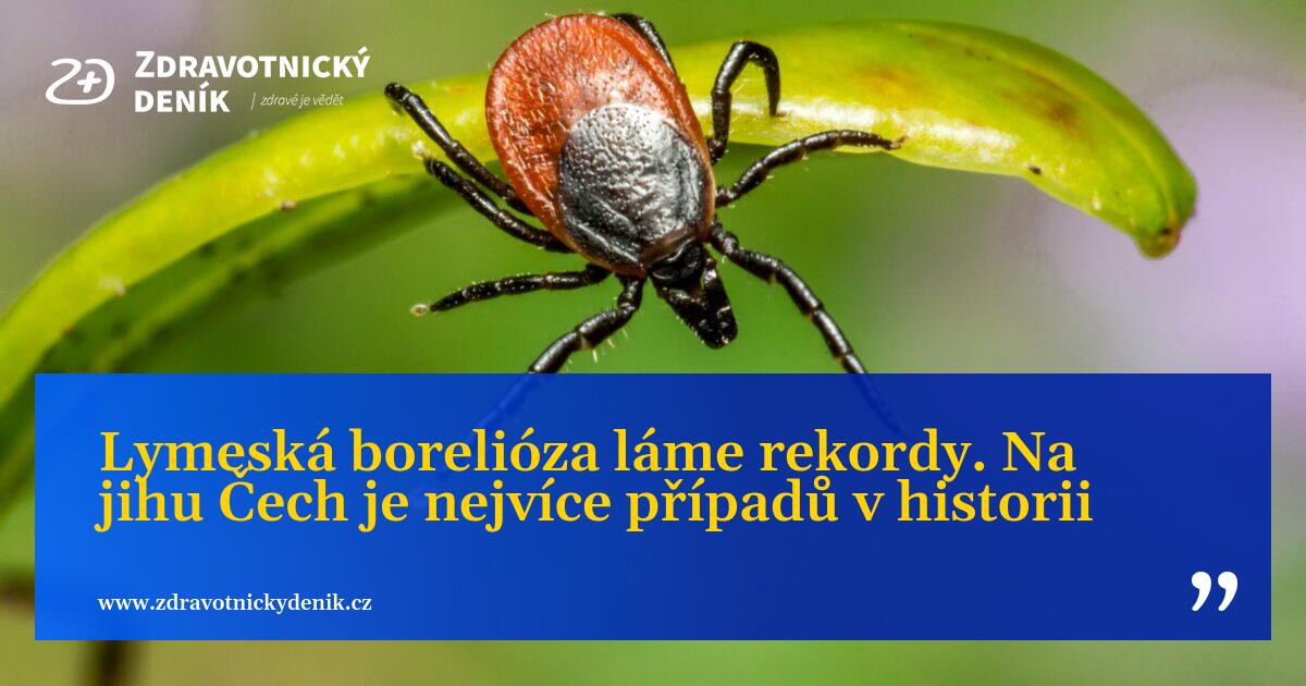 Lymeská borelióza láme rekordy. Na jihu Čech je nejvíce případů v ...
